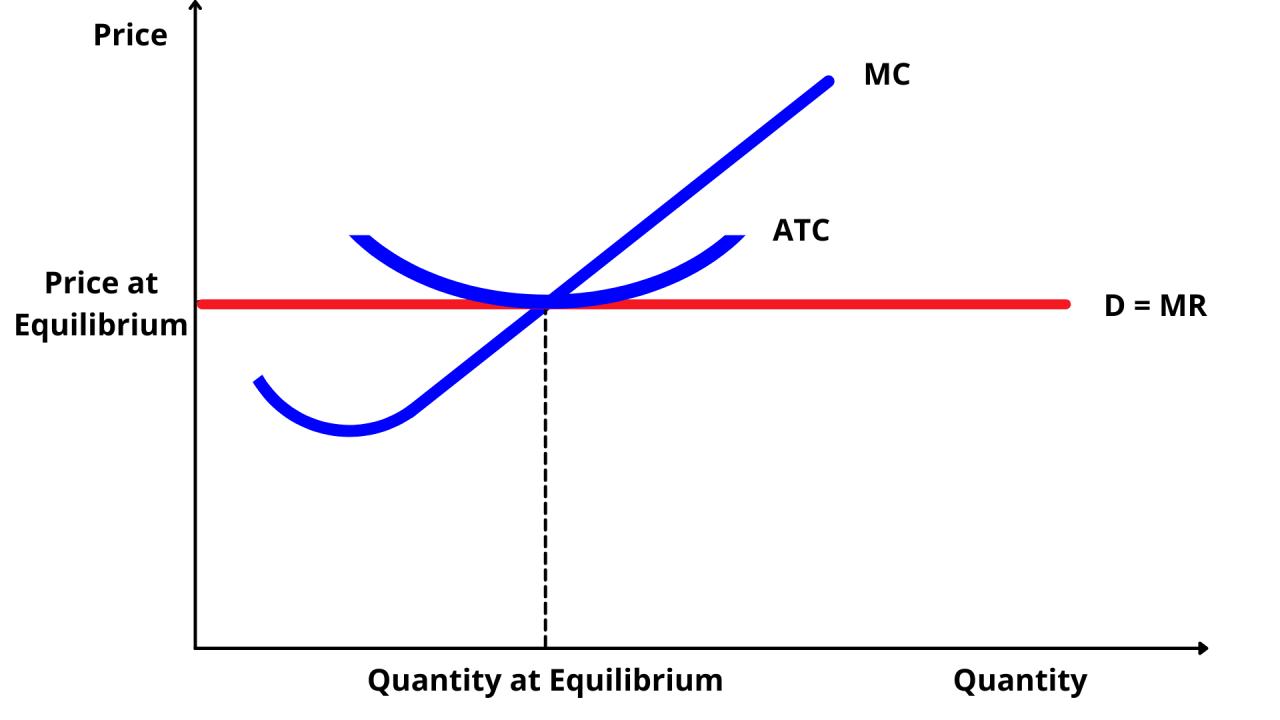 Perfect vs Imperfect Competition: What is the Difference? - EU Seguros
